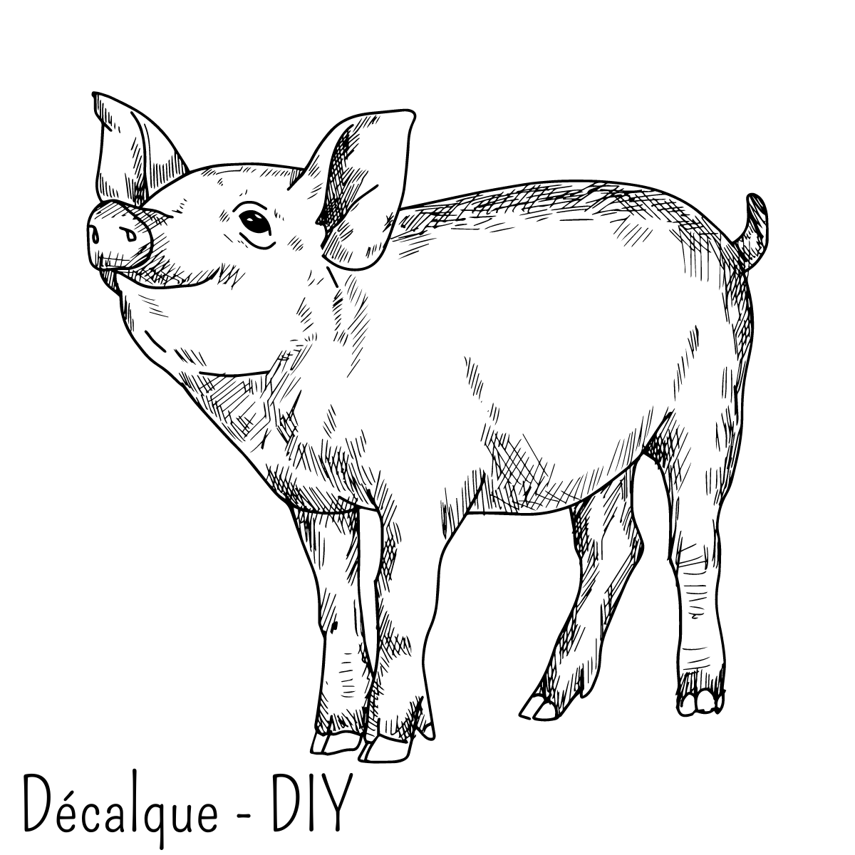 Boutique - Petit Bouton Rose